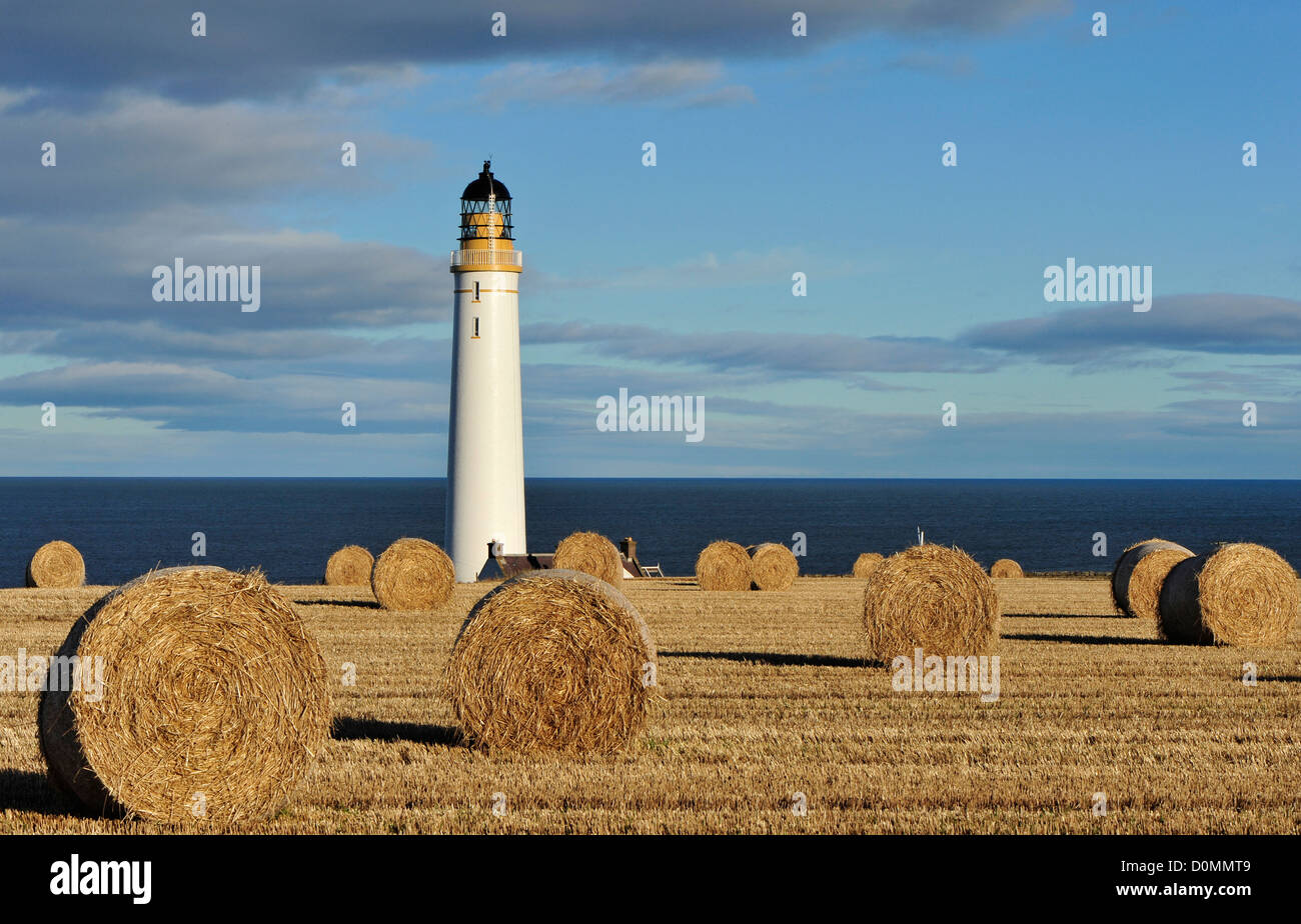 Scurdie Ness Lighthouse, Ferryden, Montrose, Scotland Stock Photo - Alamy