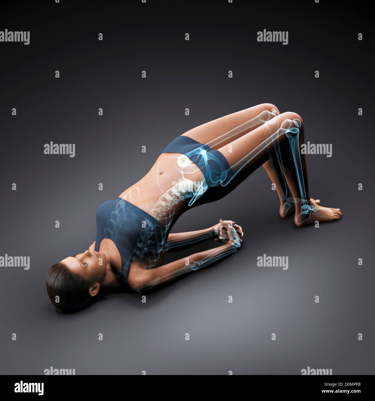 Skeleton layered over a female body in bridge pose showing skeletal ...