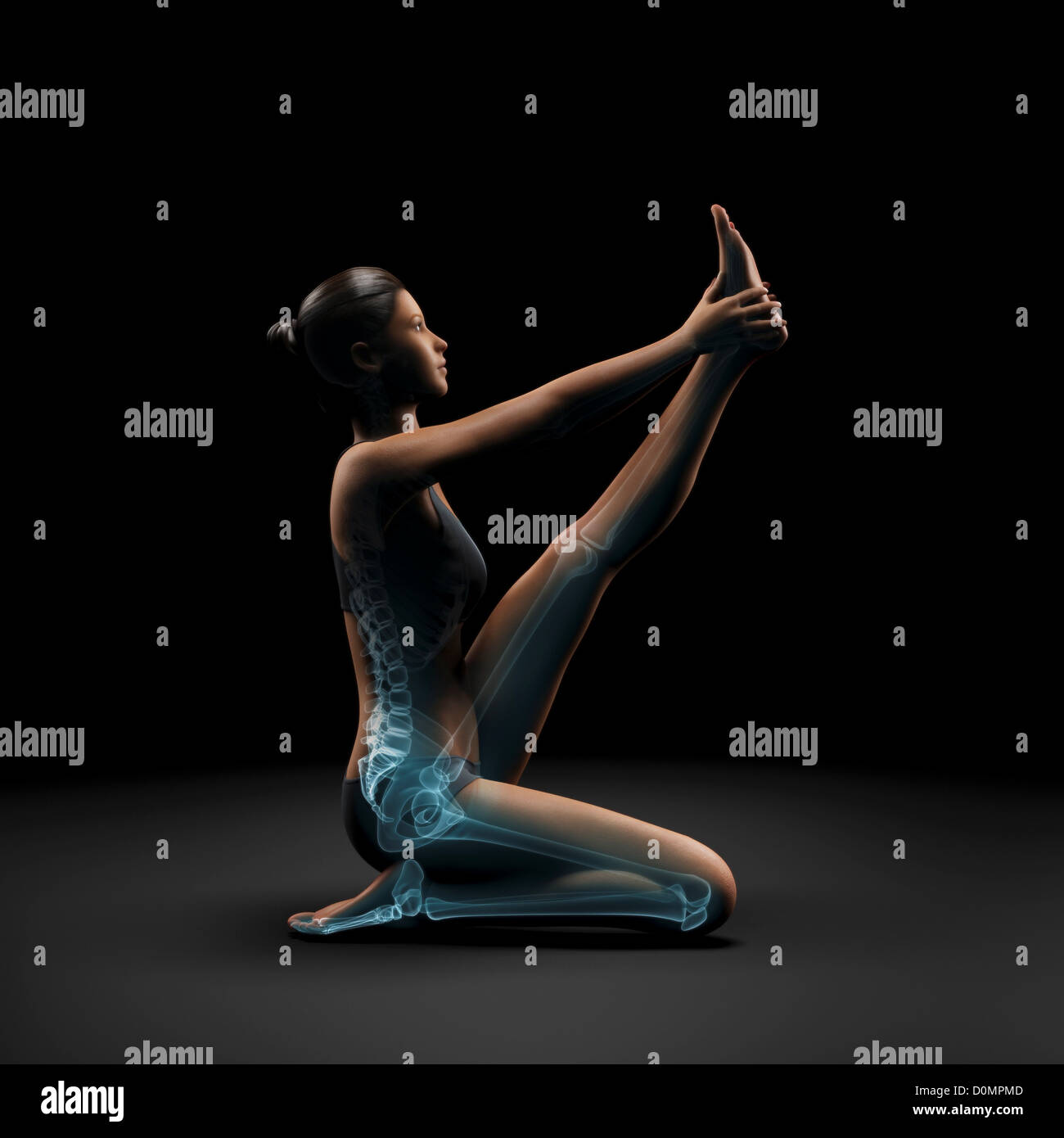 Skeleton layered over a female body in heron pose showing the skeletal ...