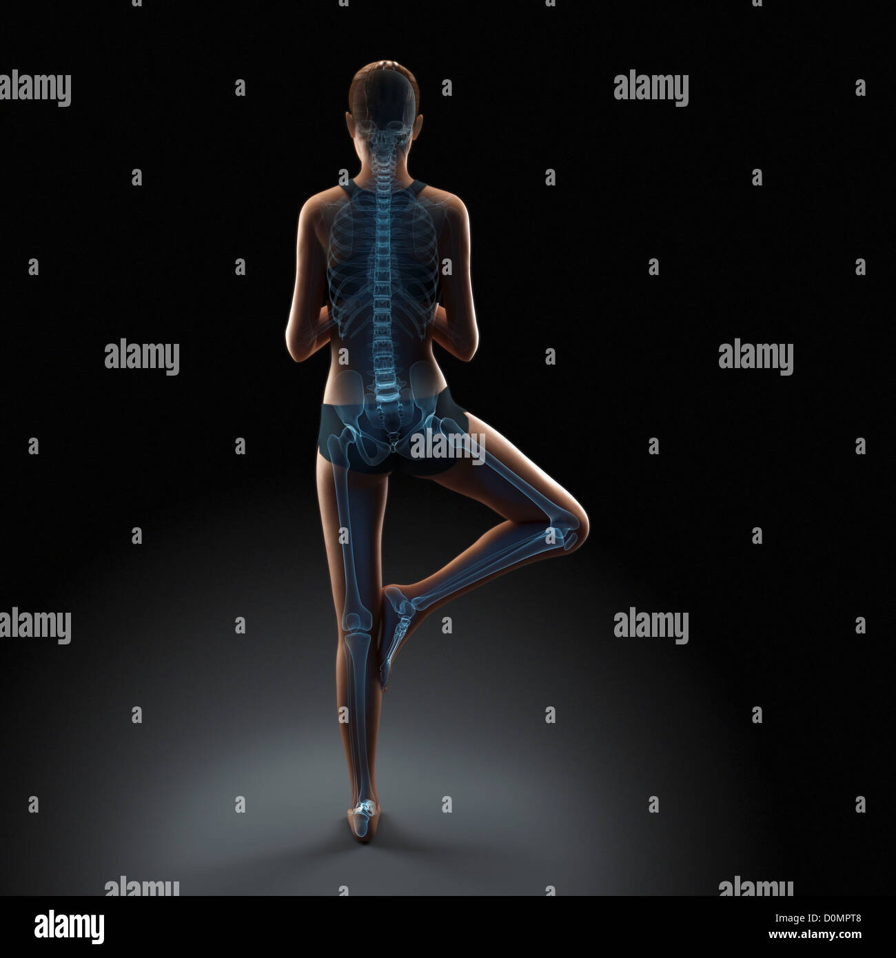 Skeleton layered over a female body in the tree pose showing the ...