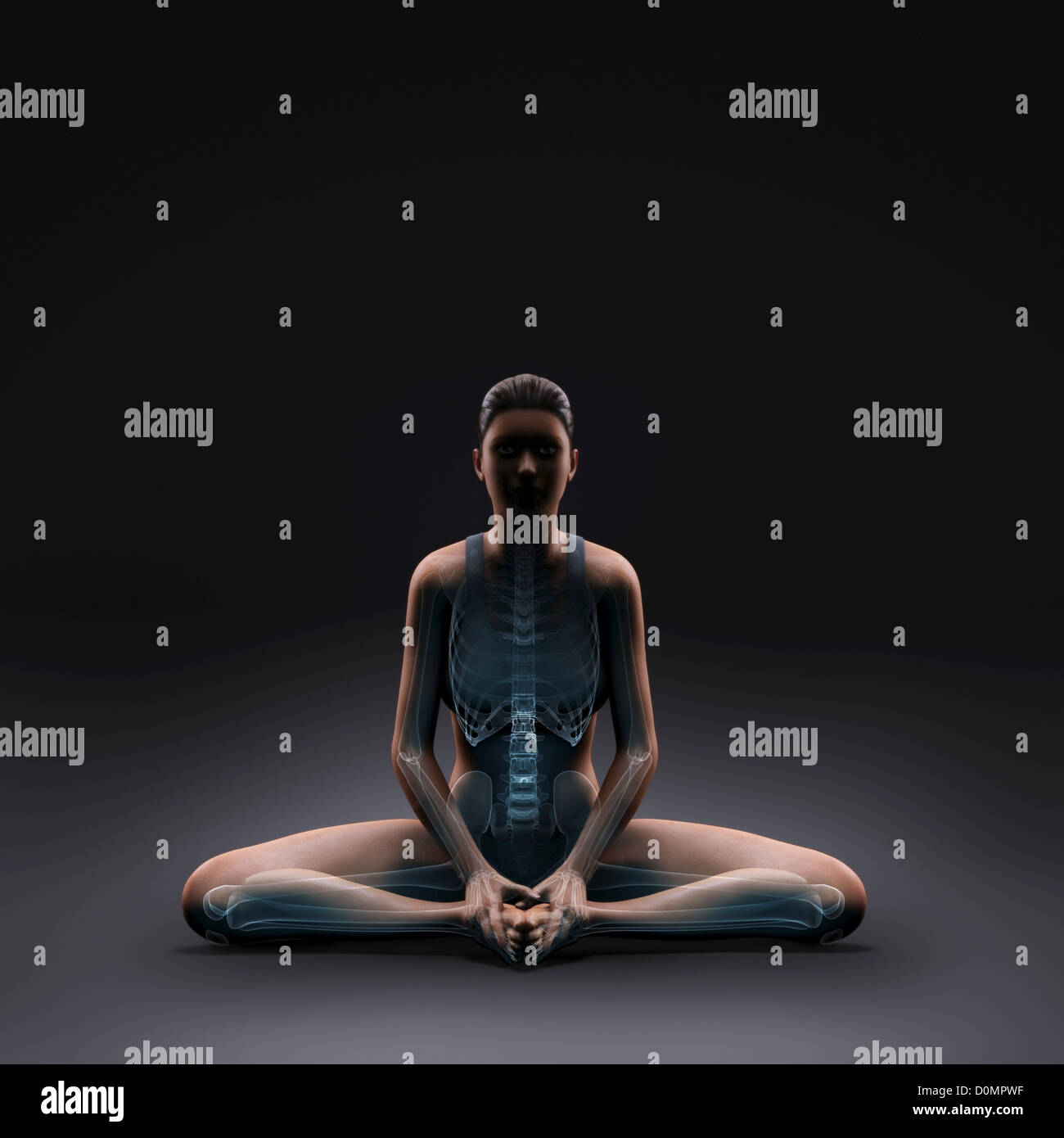 Skeleton layered over a female body in the bound angle pose showing ...
