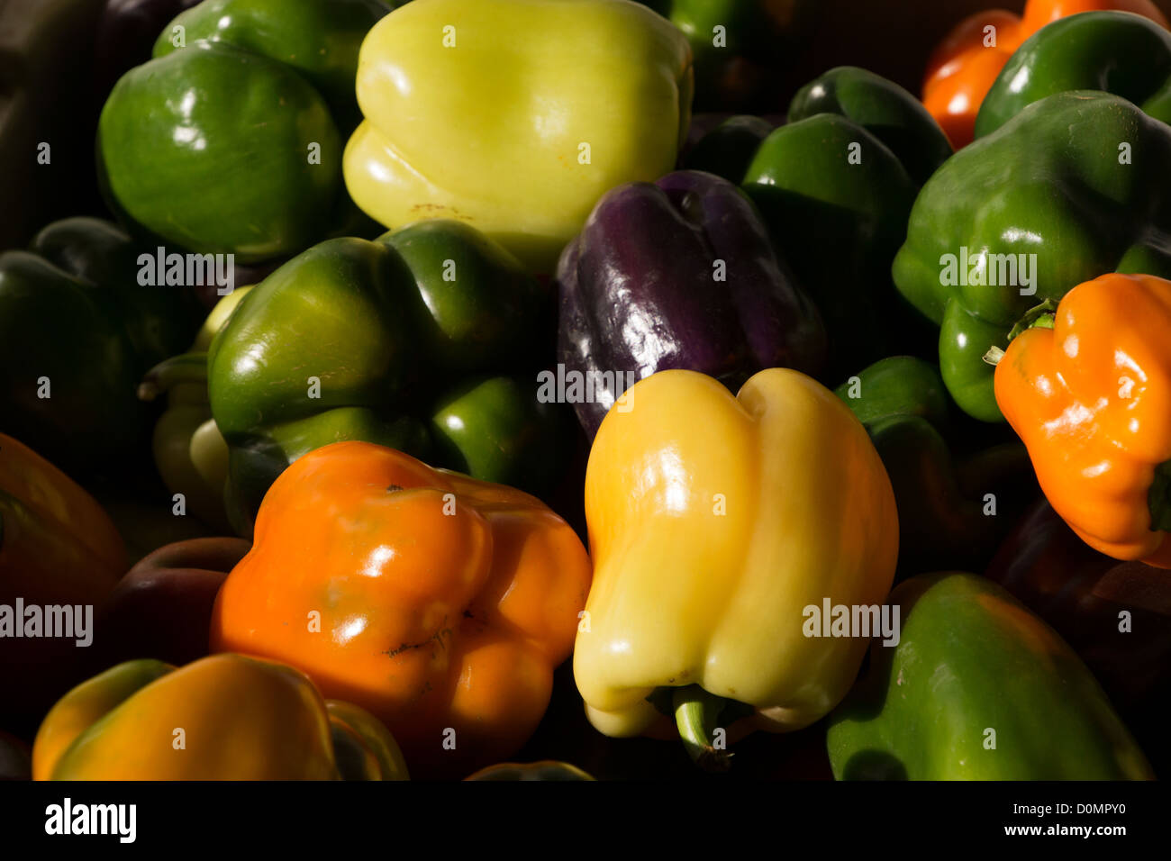 Fresh peppers capsicum on the market hi-res stock photography and ...