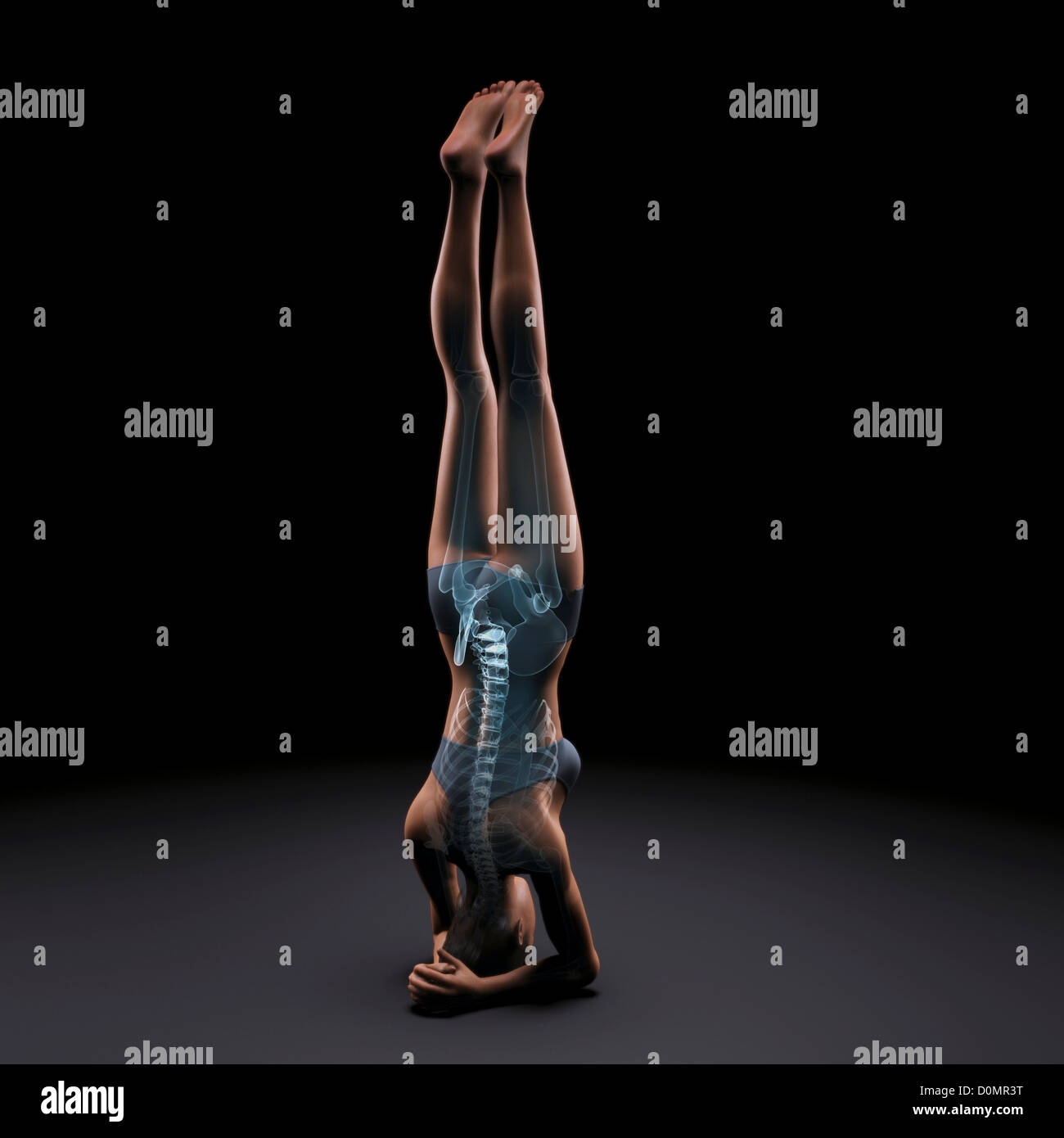 Skeleton layered over a female body in headstand pose showing the ...