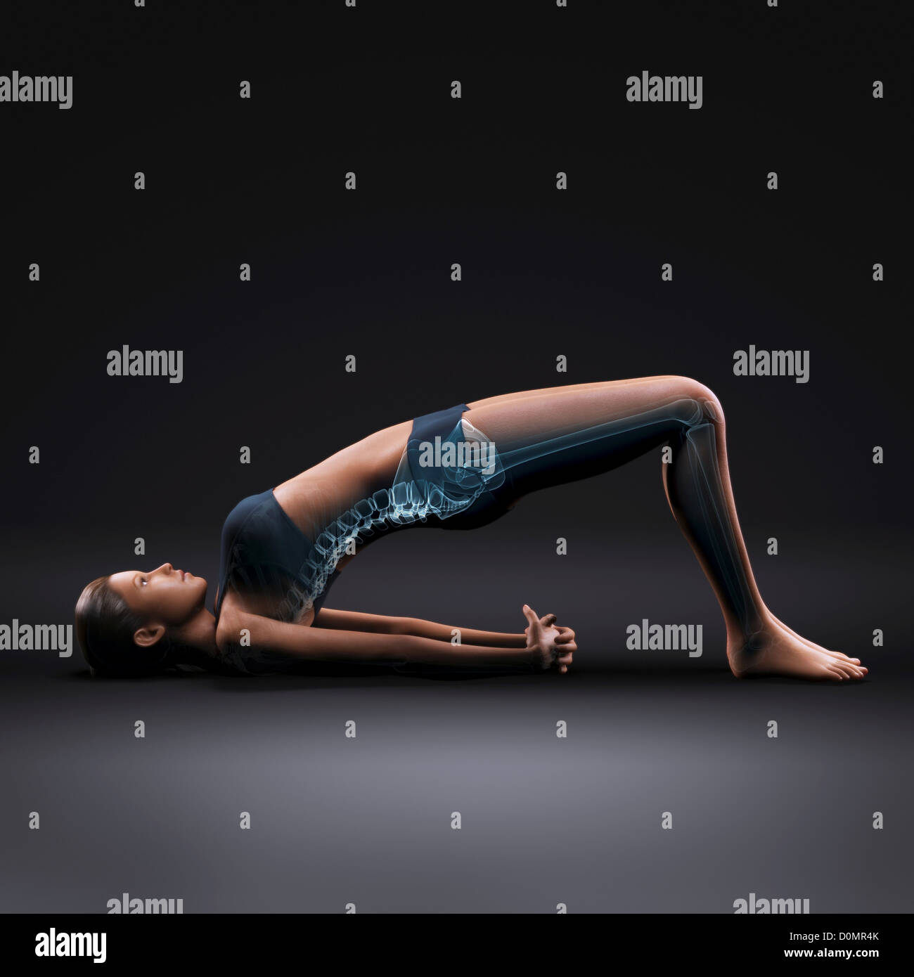 Skeleton layered over a female body in bridge pose showing skeletal ...