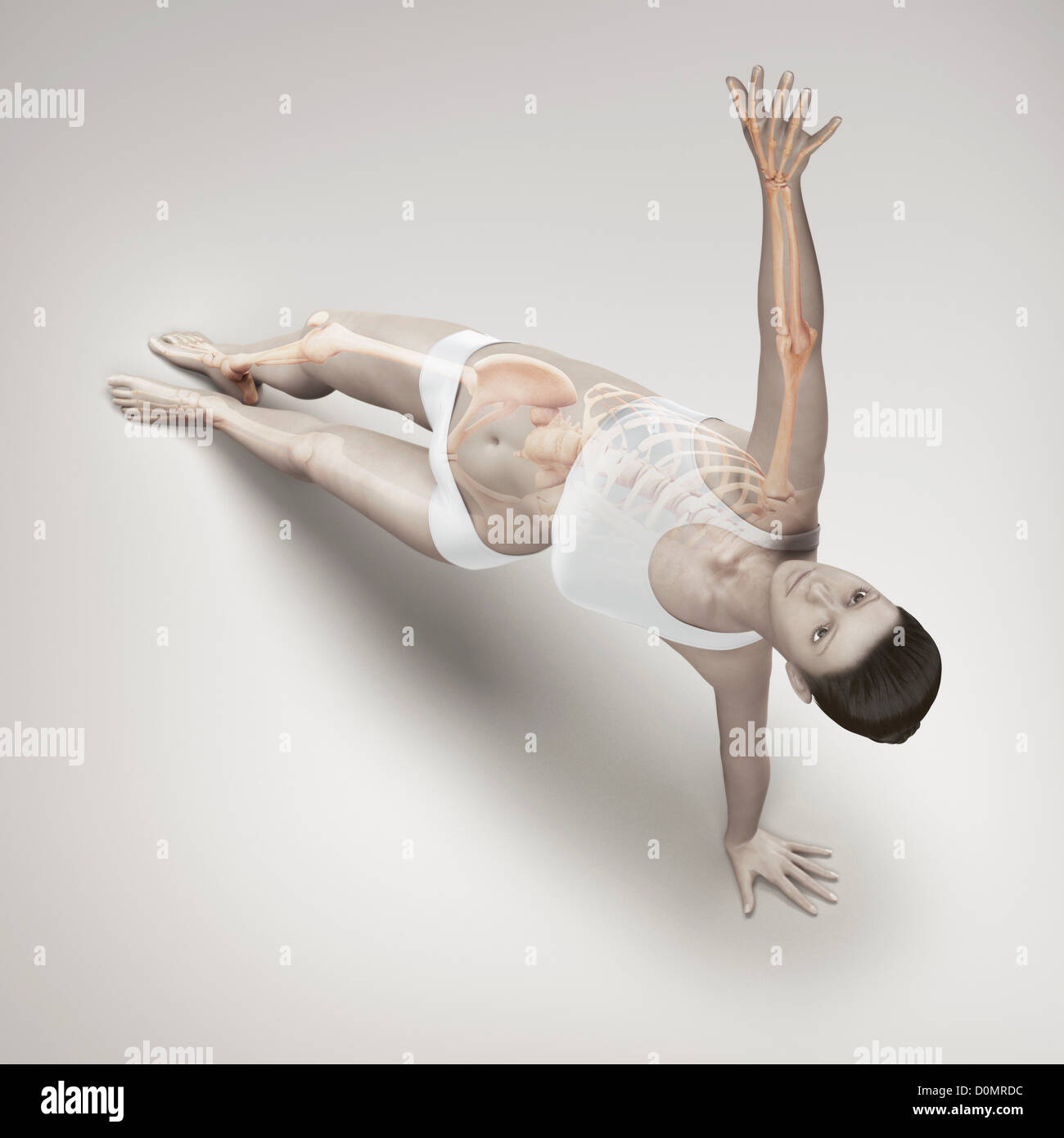 Skeleton layered over a female body in side balance pose showing the ...