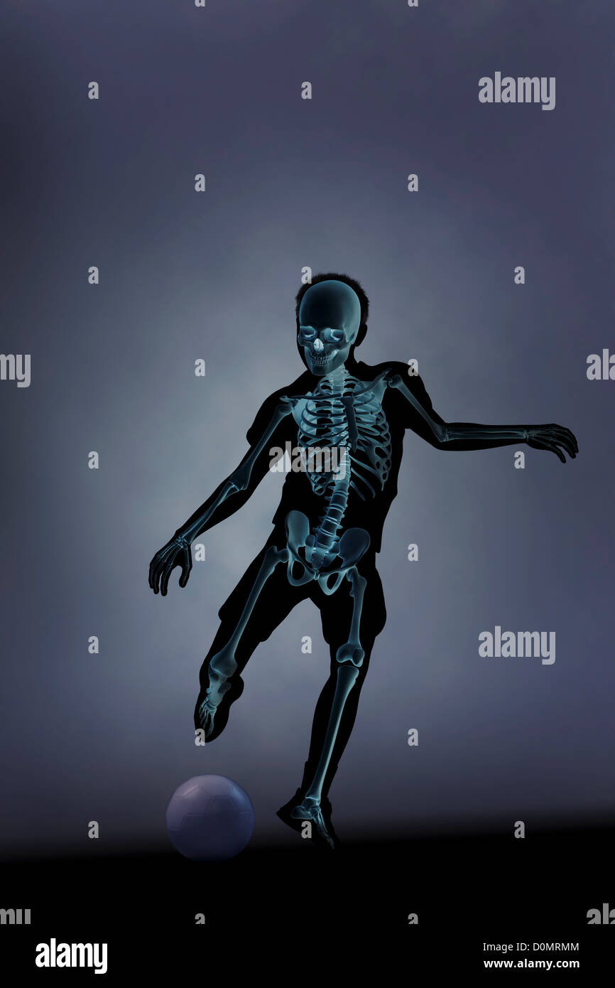 Skeletal system of a boy hi-res stock photography and images - Alamy