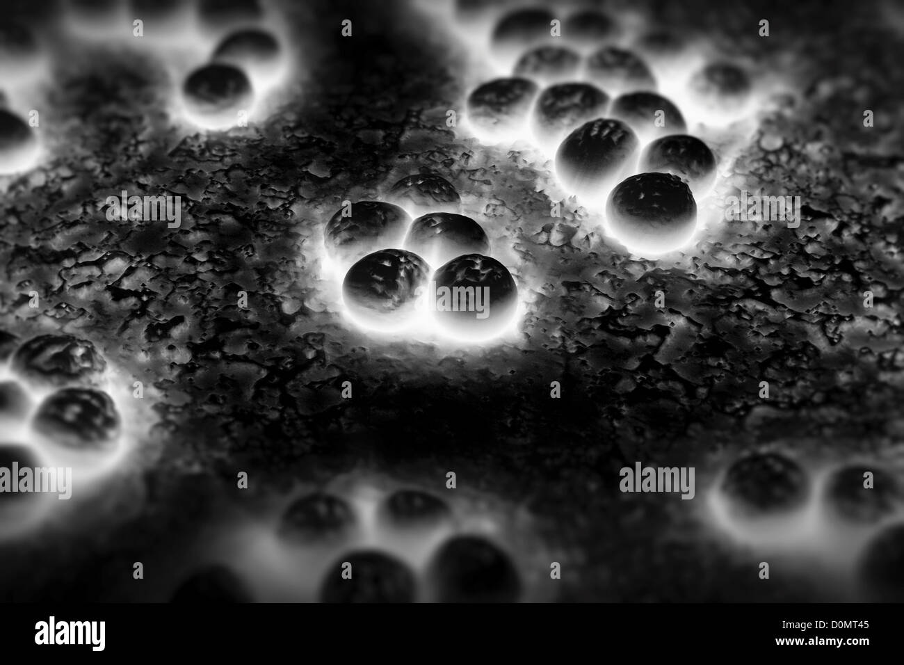 Clusters of 'superbug' (MRSA) bacteria Stock Photo - Alamy