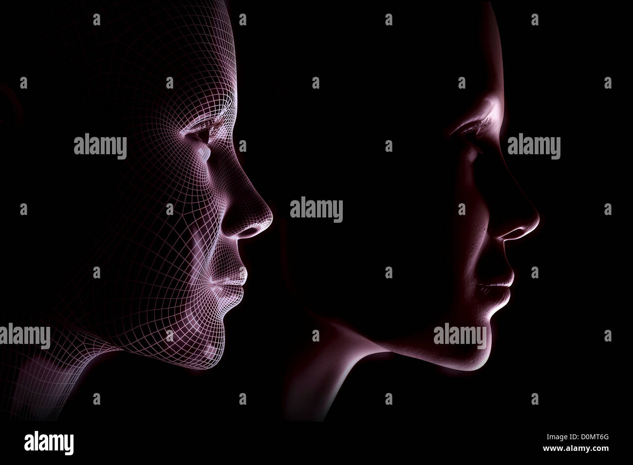 Female anatomical model layered over the face Stock Photo - Alamy