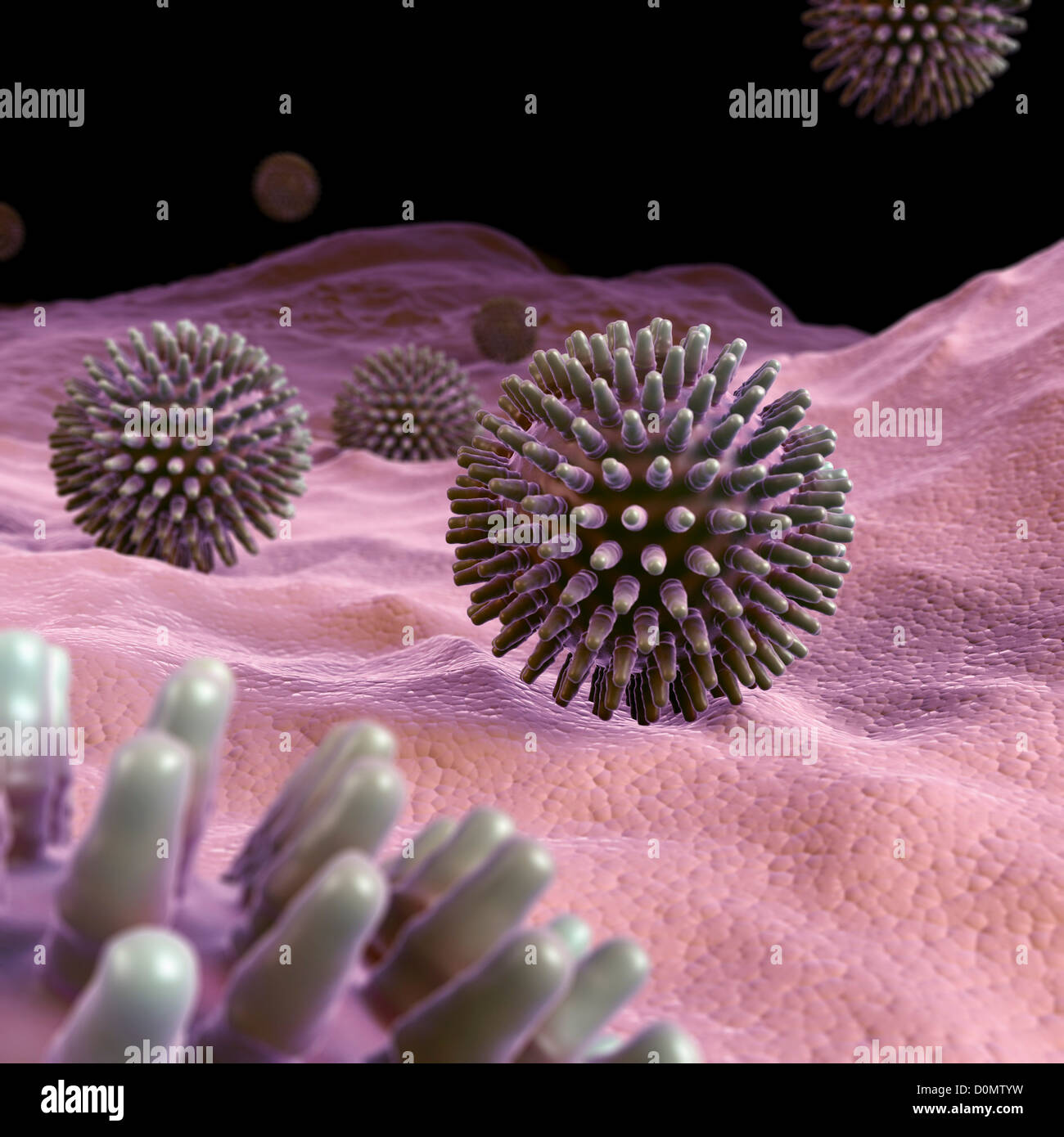 Clusters of H1N1 virus particles Stock Photo - Alamy