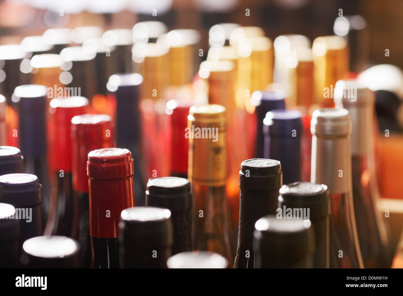 Many wine bottles hi-res stock photography and images - Alamy