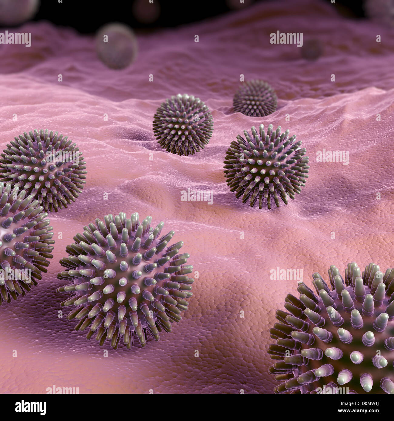 Clusters of H1N1 virus particles Stock Photo - Alamy