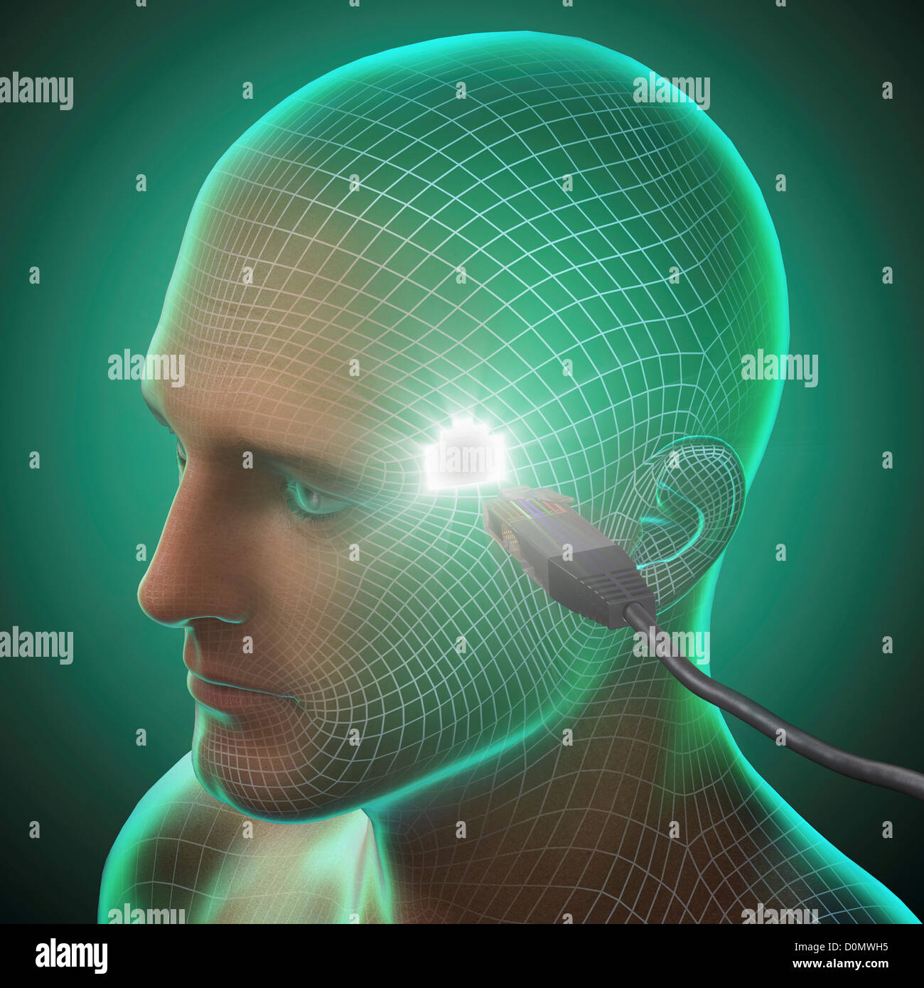 Diagram showing a LAN cable entering a socket on the side of a human ...