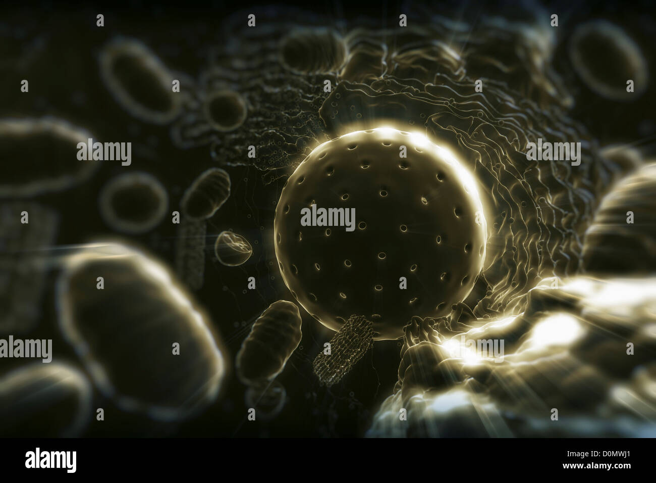 Diagram showing the internal operations of a human cell Stock Photo - Alamy