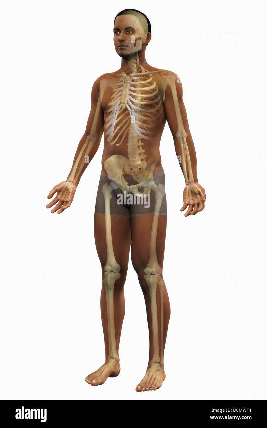 A full body view of a male figure of African ethnicity showing the ...
