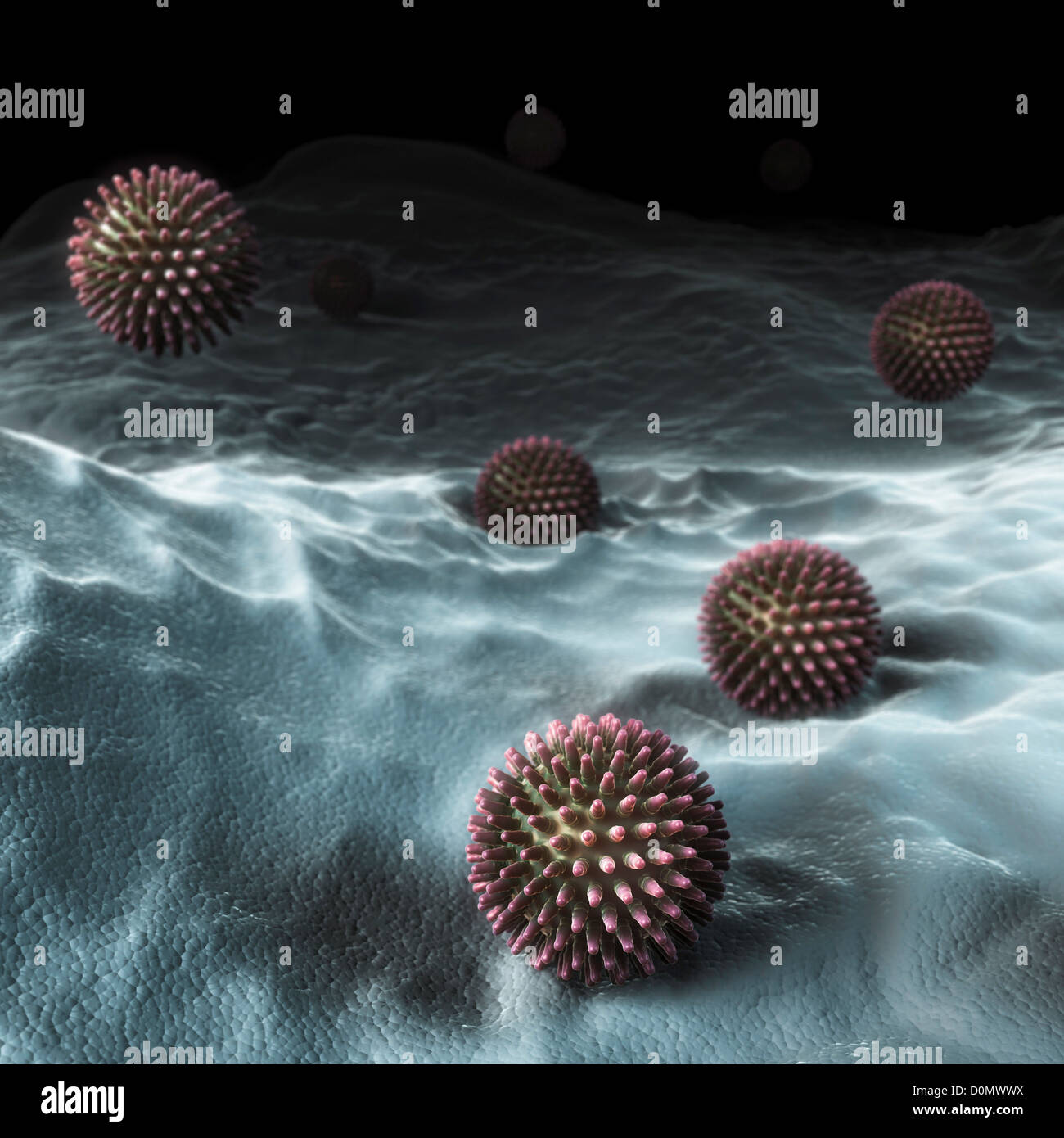 H1n1 swine flu virus particles hi-res stock photography and images - Alamy