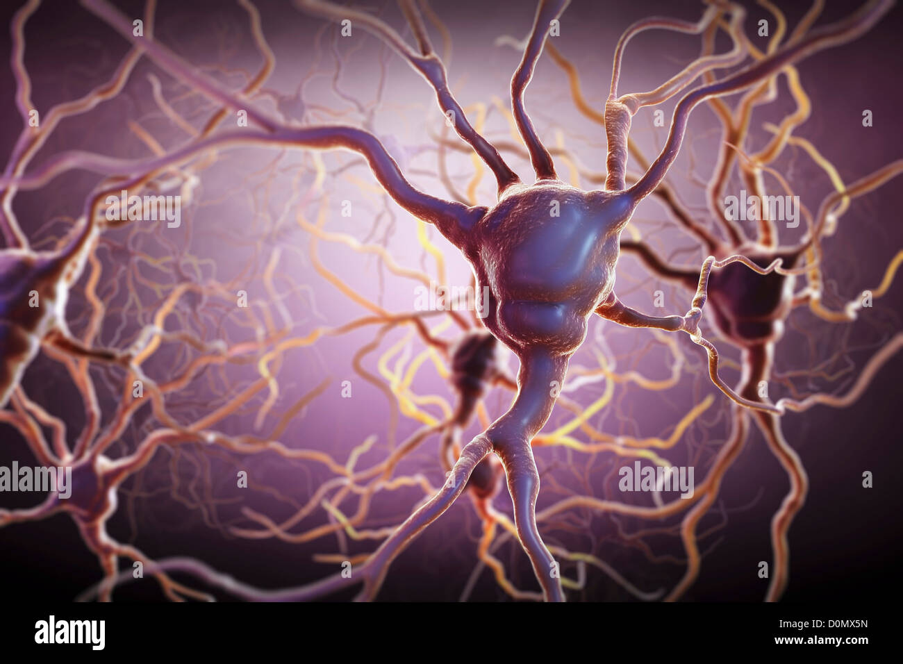 Neurons connecting to each other hi-res stock photography and images ...