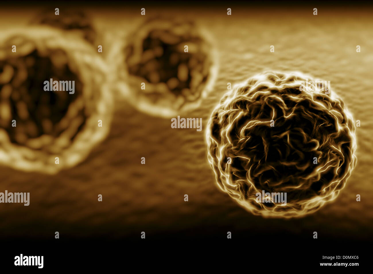 Chlamydia trachomatis hi-res stock photography and images - Alamy