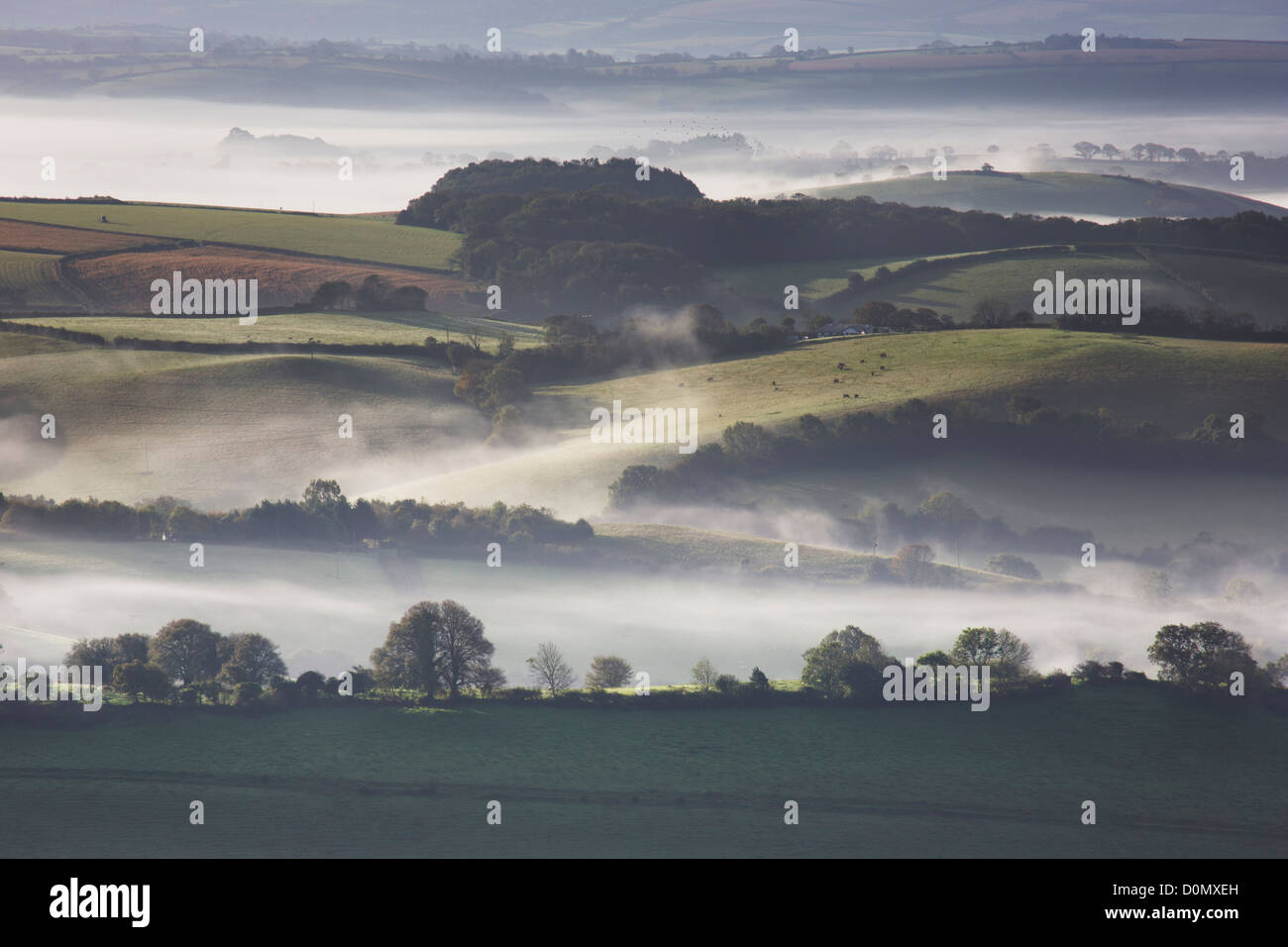 Typical devon landscape hi-res stock photography and images - Alamy