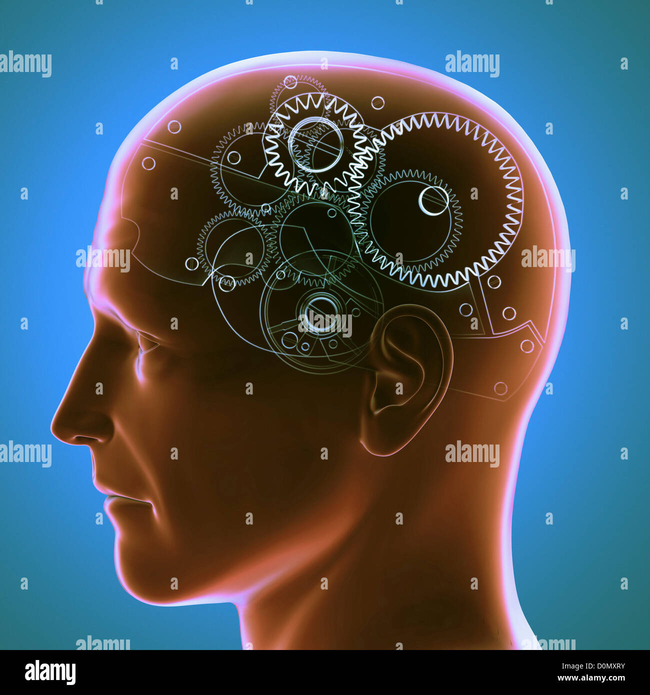 Anatomical model of a human head representing the human mind as a gear ...