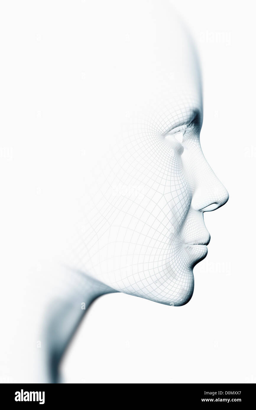 Female anatomical model layered over the face Stock Photo - Alamy