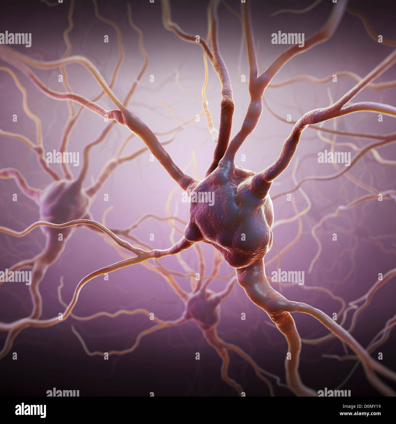 Brain Neurons High Resolution Stock Photography and Images - Alamy