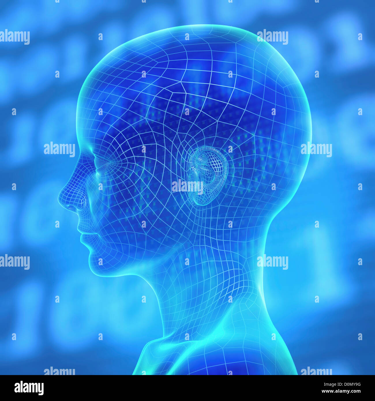 Wire frame model layered over a head to represent a digital human being ...
