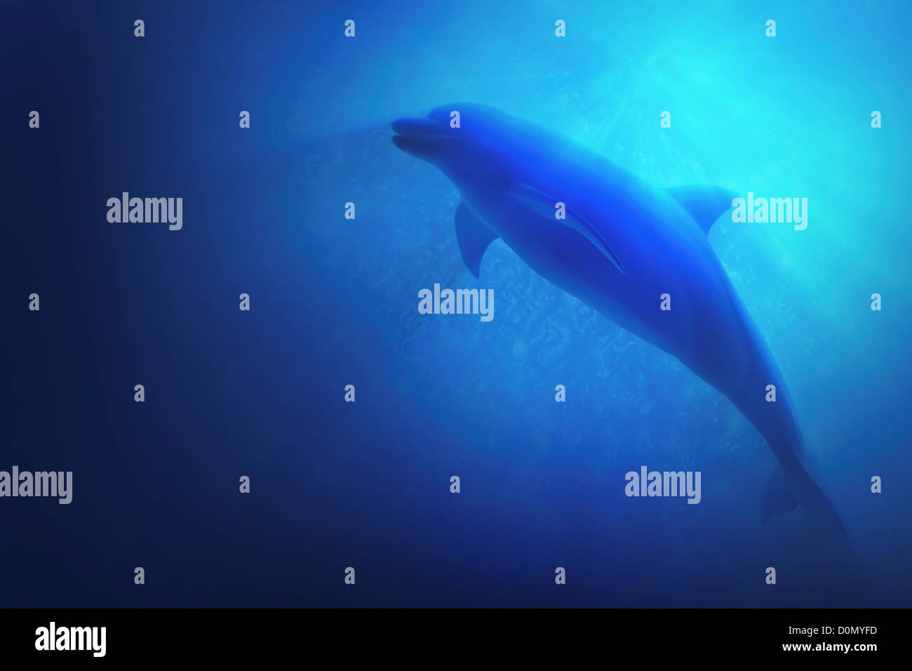 Dolphin swimming in blue waters Stock Photo - Alamy