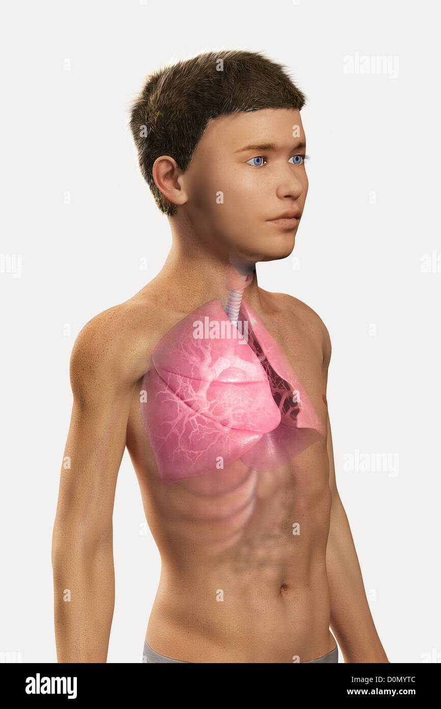 Digital illustration of a pre-adolescent male child with the ...