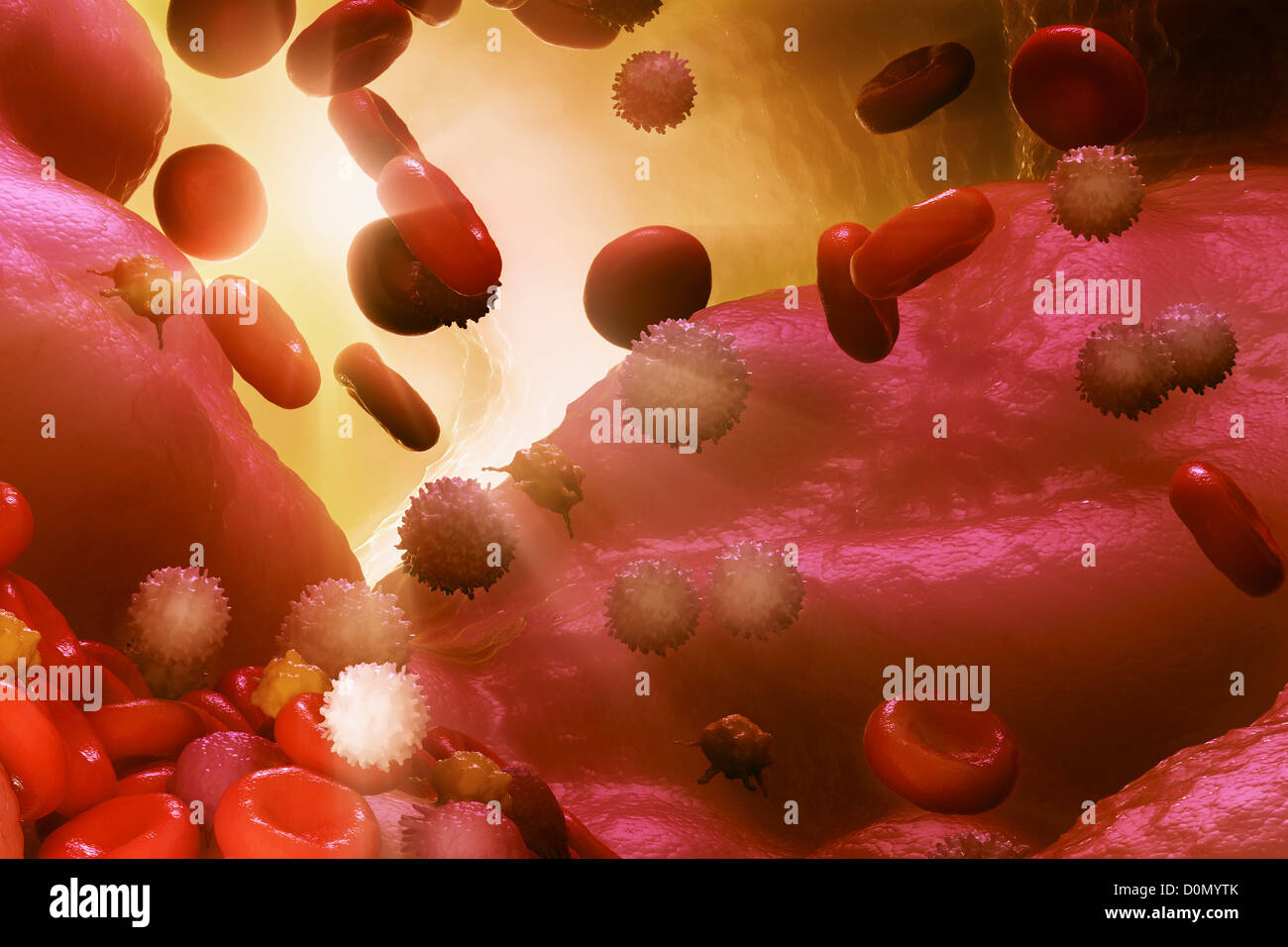 Group of red and white blood cells circulating in the bloodstream Stock ...
