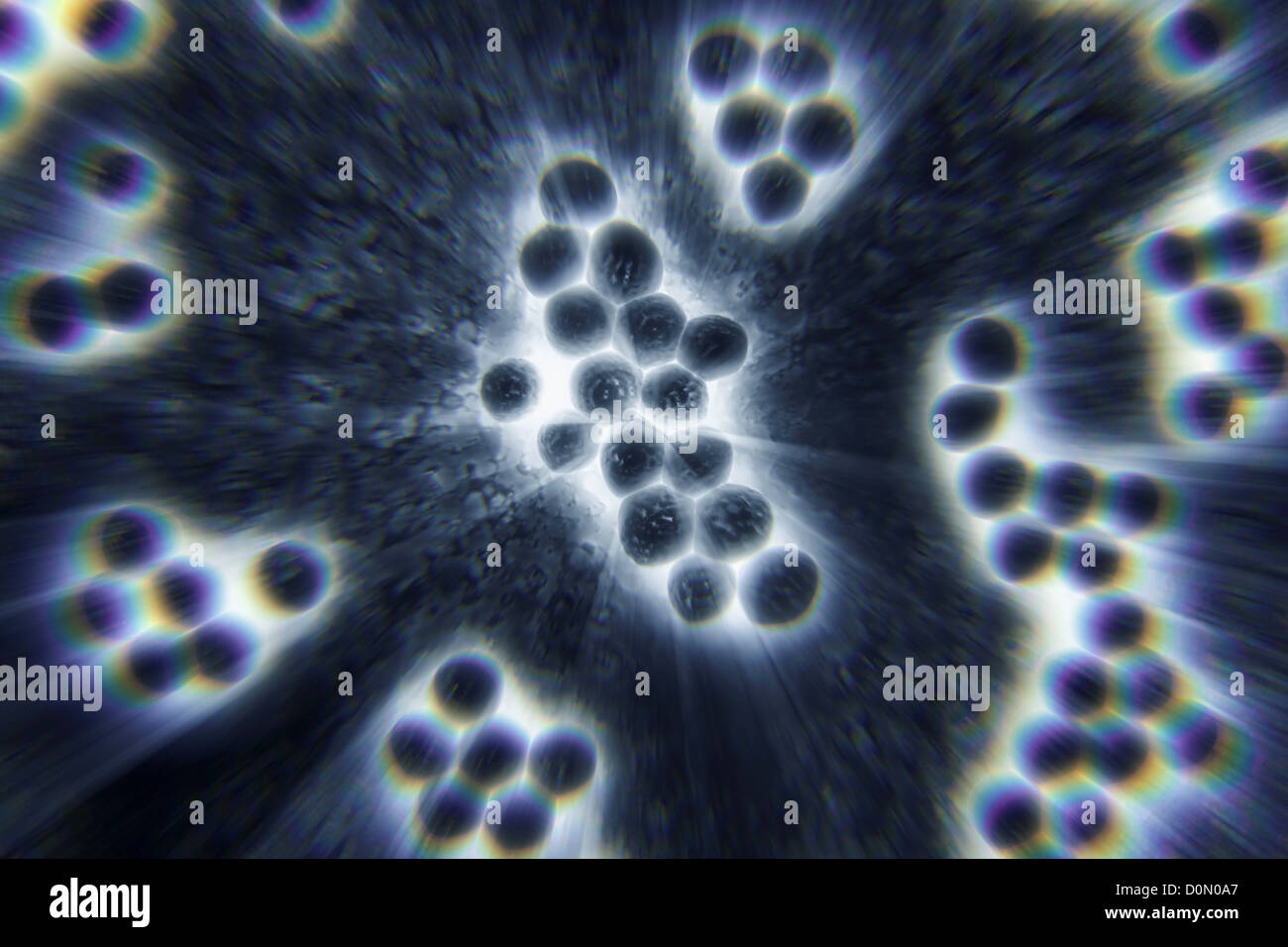 Clusters of 'superbug' (MRSA) bacteria Stock Photo - Alamy