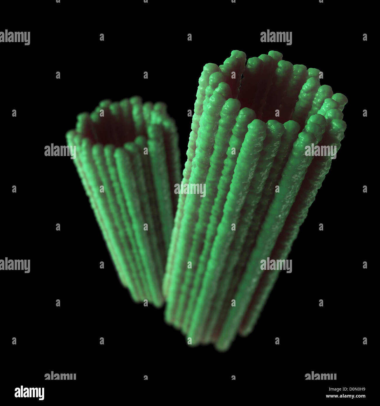Diagram showing the barrel shaped structure of a pair of isolated ...