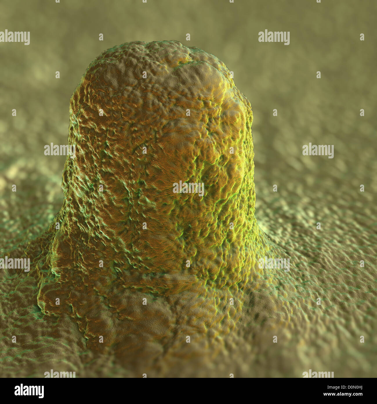 Human stem cells hi-res stock photography and images - Alamy