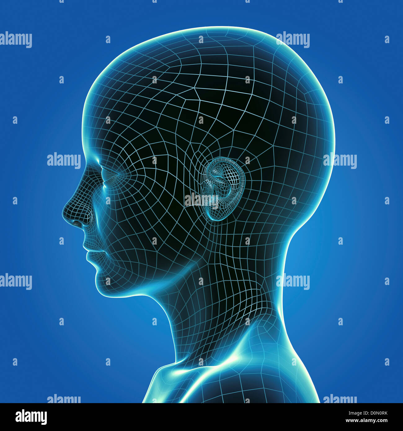 Wire frame model layered over a head to represent a digital human Stock ...