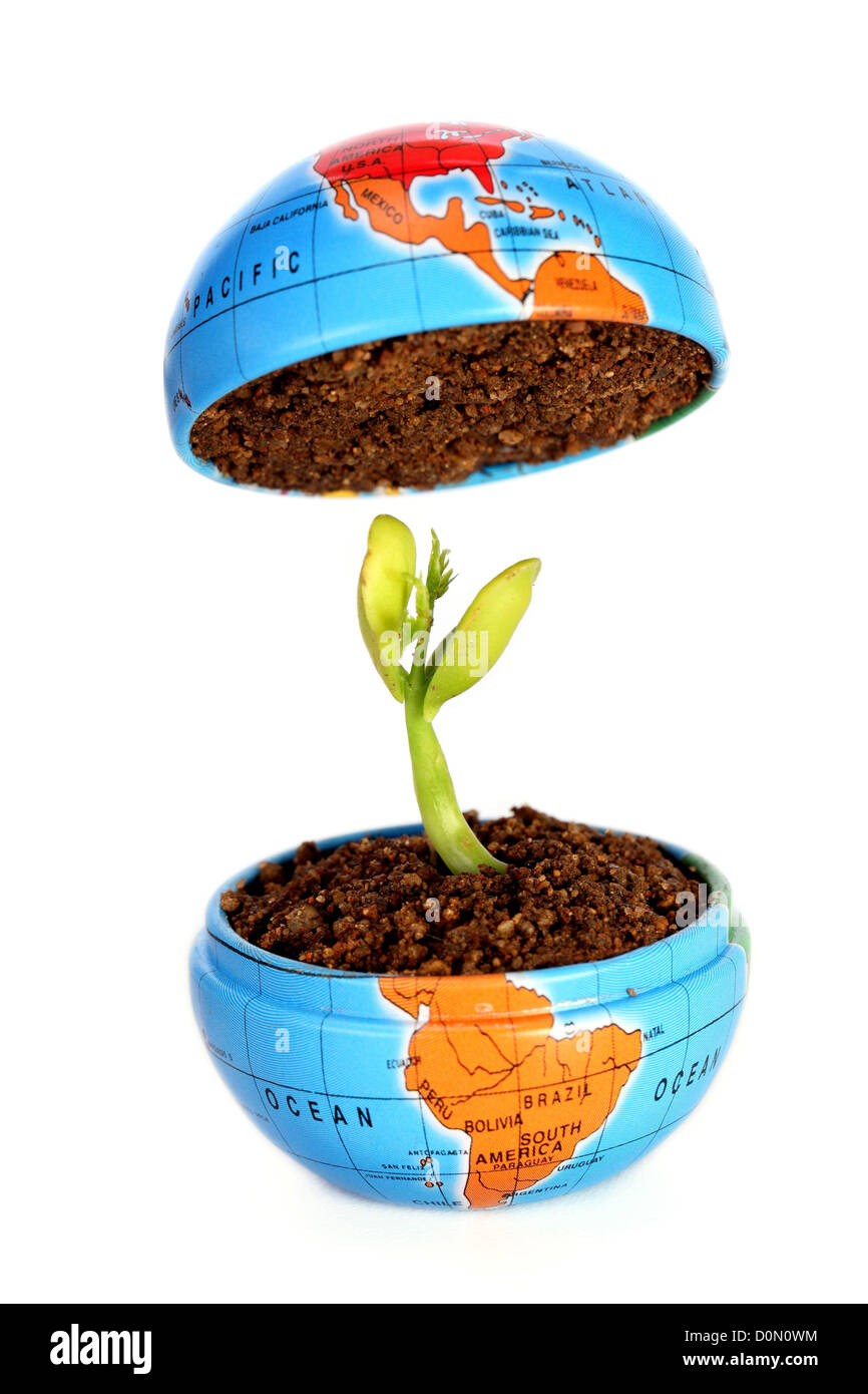 Green plant from soil Cut Out Stock Images & Pictures - Alamy