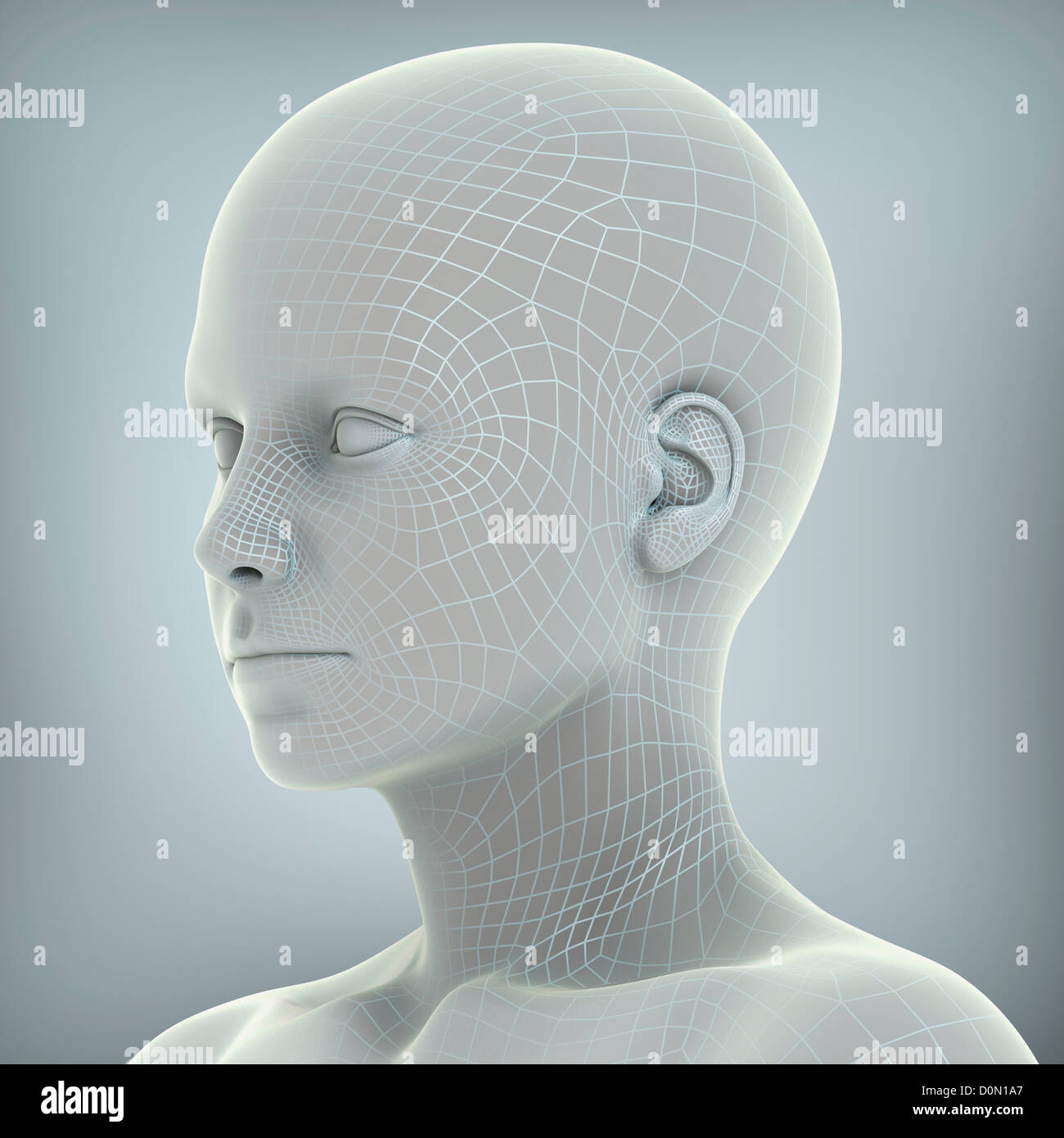 Wire frame model layered over a face to represent a digital human being ...