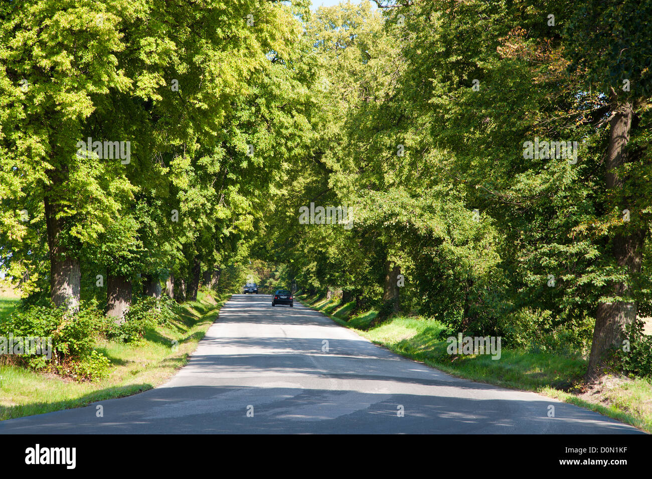 lime alley and the road Stock Photo - Alamy