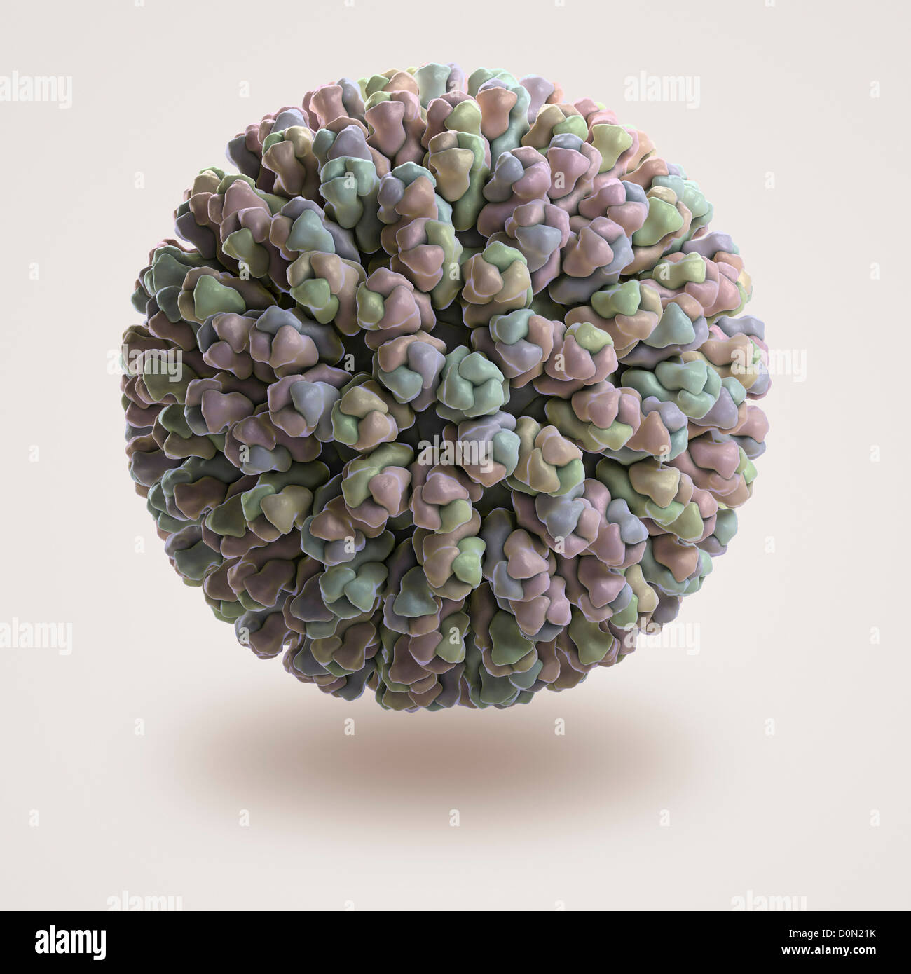 Rotavirus structure hi-res stock photography and images - Alamy
