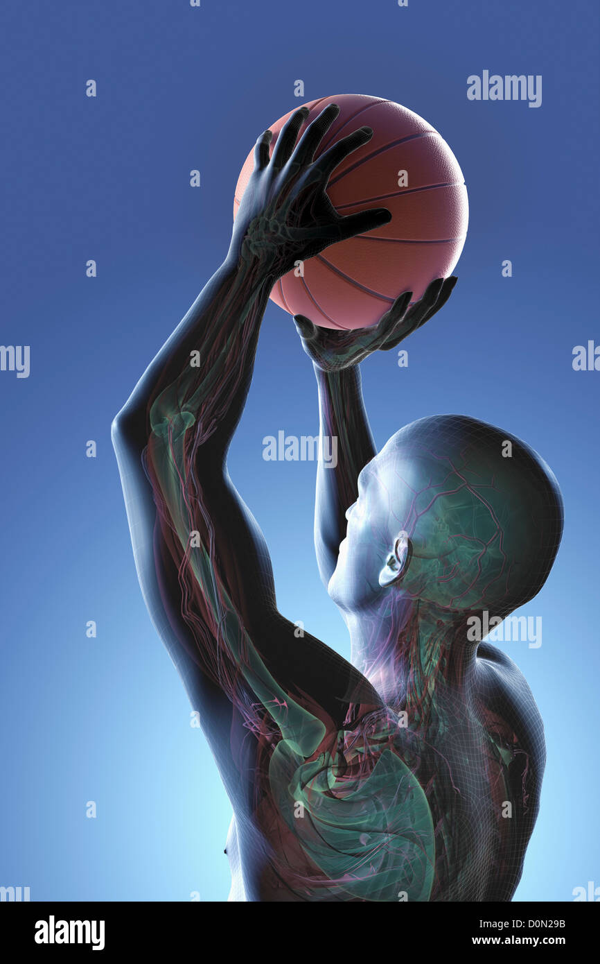 Shoulders of the figure hi-res stock photography and images - Alamy