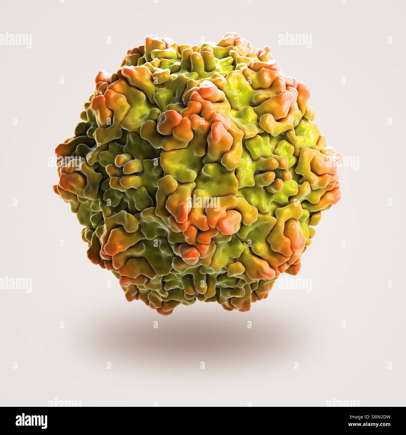 Parvovirus hi-res stock photography and images - Alamy