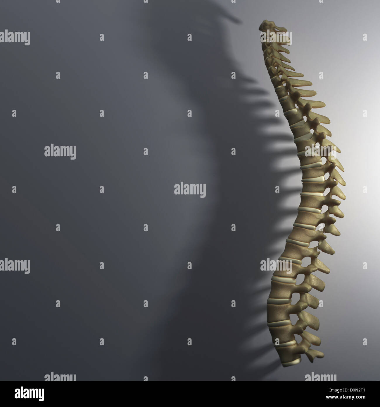 From a side hi-res stock photography and images - Alamy