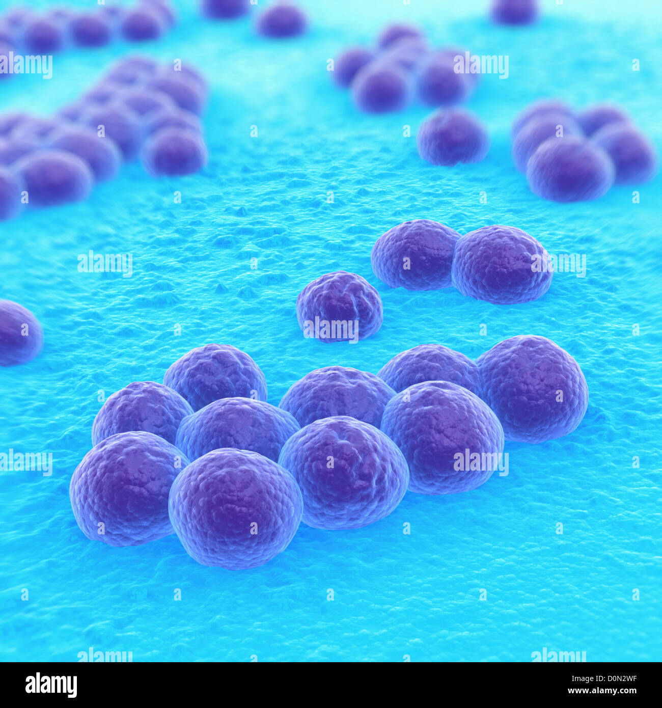 Antibiotic resistance genes hi-res stock photography and images - Alamy
