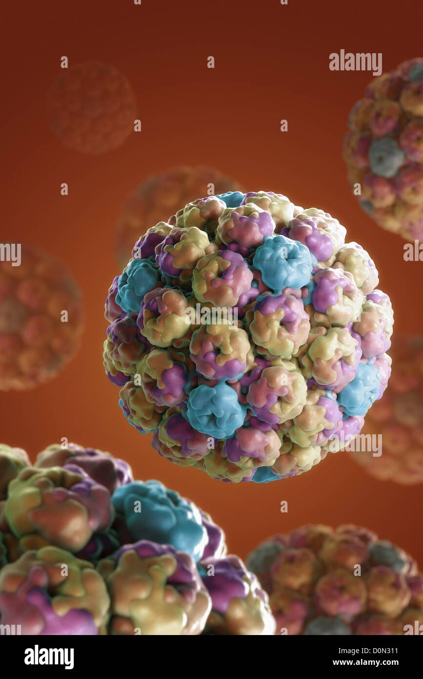 The sv40 monkey virus hi-res stock photography and images - Alamy