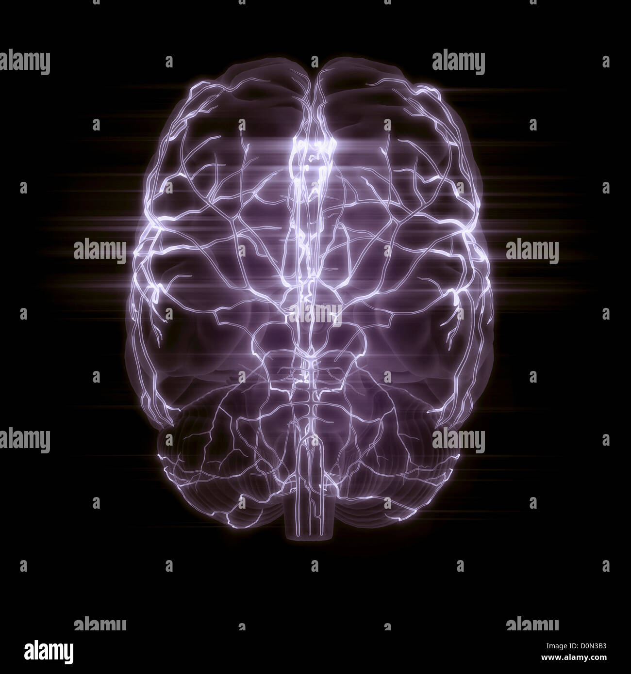 A glowing anatomical model of the arteries or blood supply to the brain ...