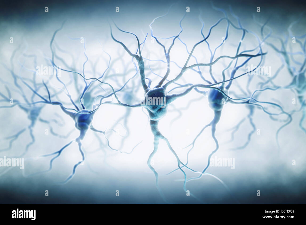 Multiple nerve cells which are also called neurons. These are ...