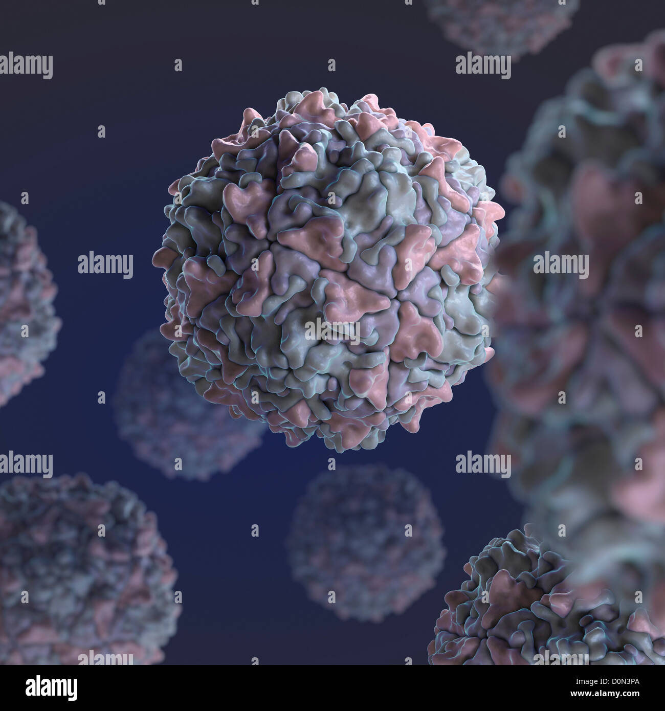 Structure of the Sabin strain of type 3 Poliovirus (PDB 2PLV Stock ...
