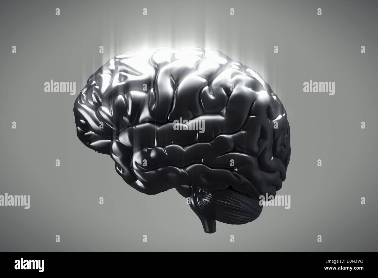 A side view of a metallic brain. The cerebral hemispheres, cerebellum ...