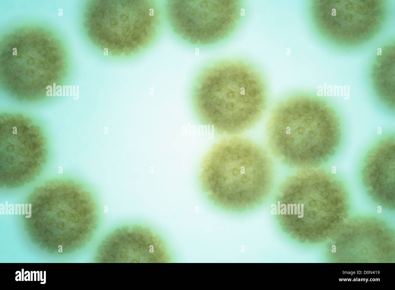 Flaviviridae hi-res stock photography and images - Alamy