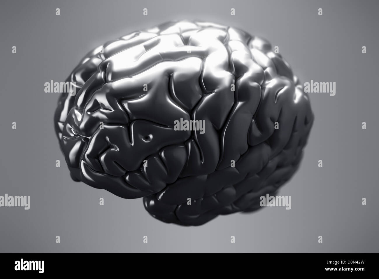 Human brain anatomy superior view hi-res stock photography and images ...