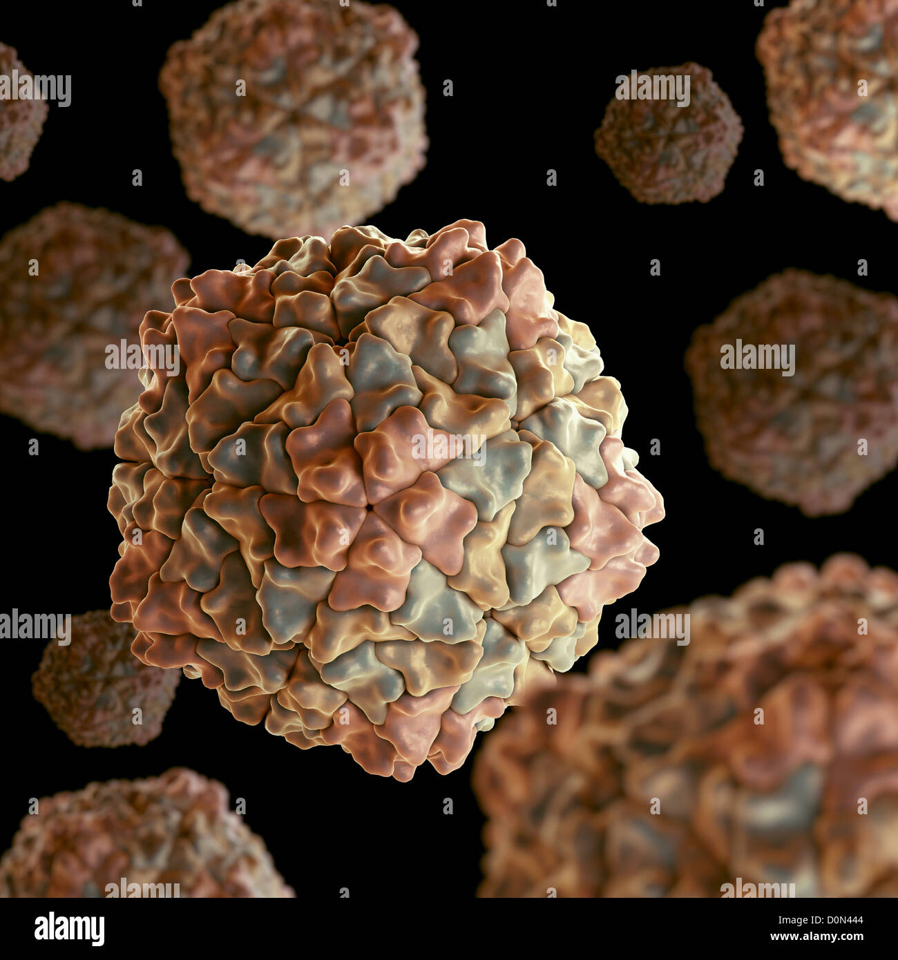 Structure Rice Yellow Mottle Virus (PDB 1F2N). genus Sobemovirus RYMV ...