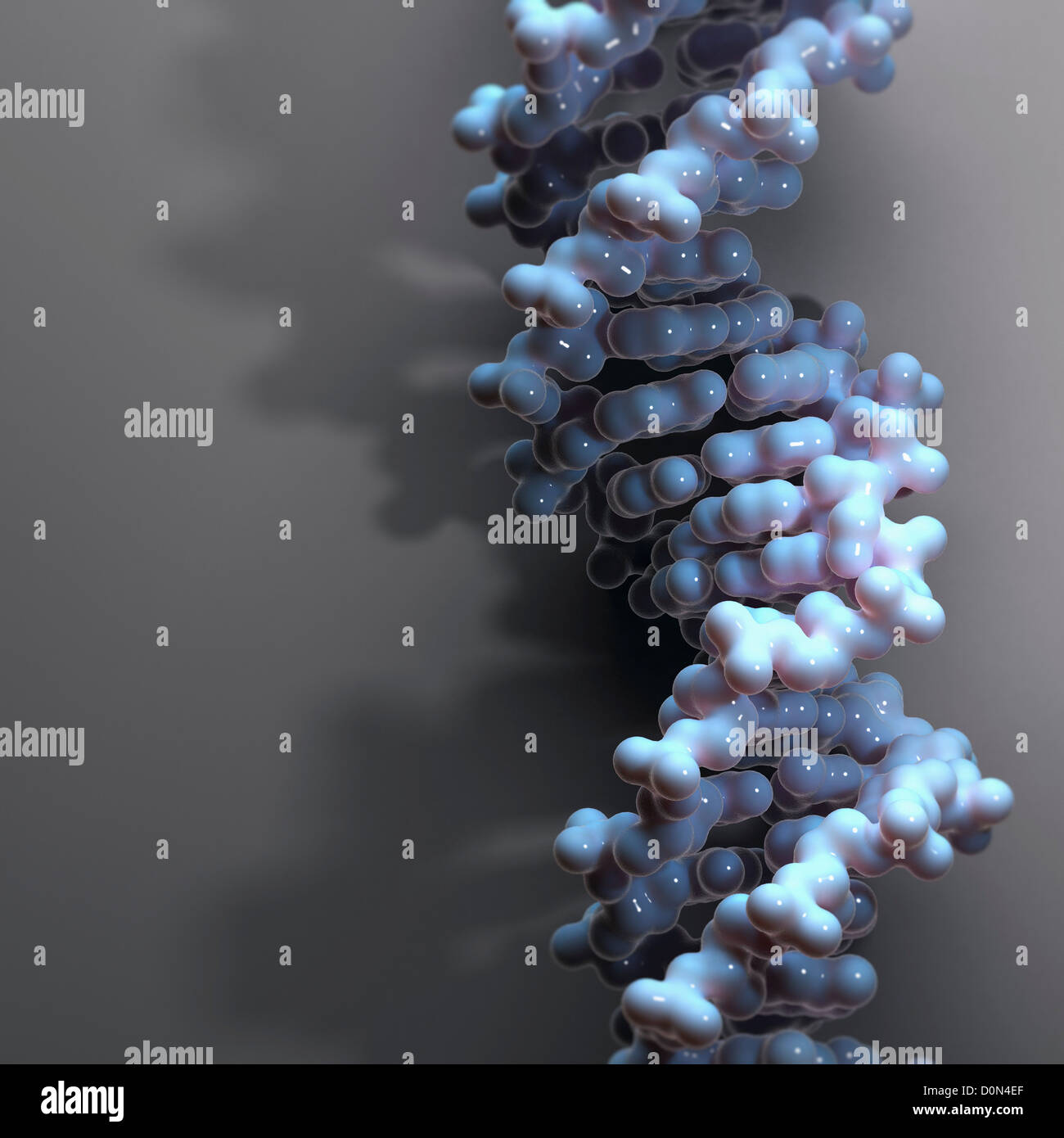 Structure of human DNA or deoxyribonucleic acid (PDB 1BNA Stock Photo ...